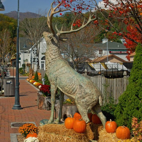 Public Works - Town of Banner Elk, North Carolina