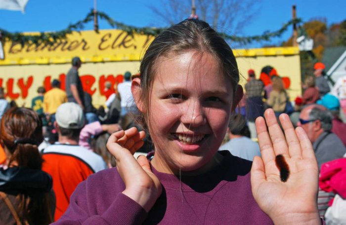 Woolly Worm Festival - Town of Banner Elk, North Carolina